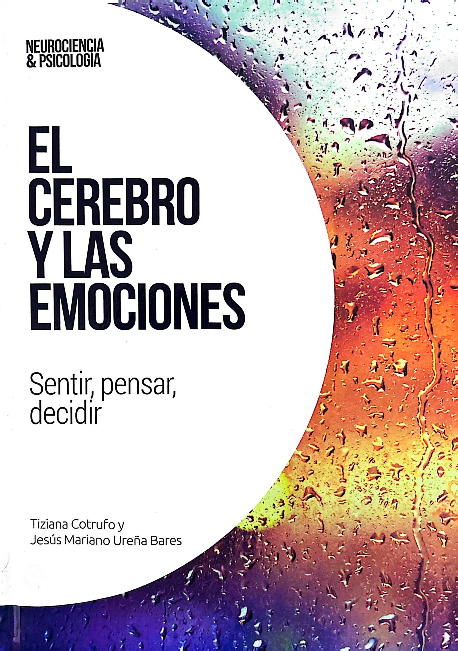 Leib Record Consultores El Cerebro Y Las Emociones